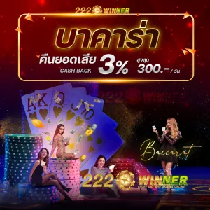 222winner เว็บคาสิโนออนไลน์ครบวงจร สล็อต, บาคาร่า, คาสิโนสด